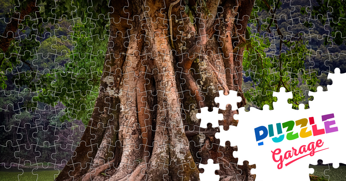 Old tree trunk Jigsaw Puzzle (Plants, Trees) | Puzzle Garage