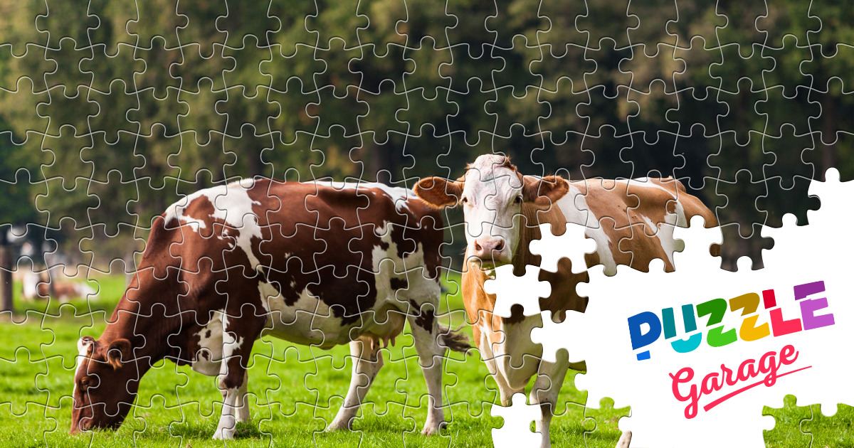 Two cows in the meadow Jigsaw Puzzle (Animals, Pets) | Puzzle Garage