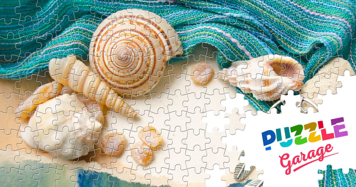 Seashells and dream catcher Jigsaw Puzzle (Animals, Marine life ...
