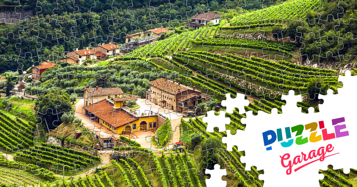 Wineries and vineyards in Valpolicella Jigsaw Puzzle (Countries, Italy ...