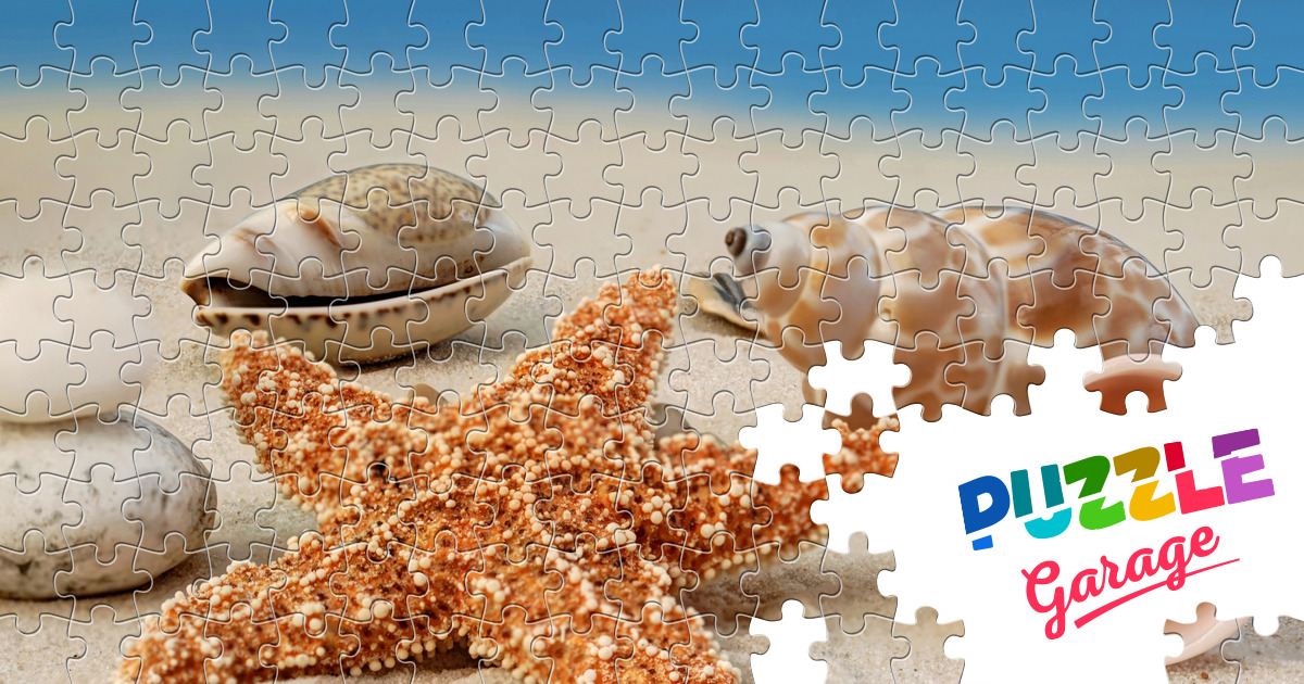 Starfish and shells on the beach Jigsaw Puzzle (Animals, Marine life ...