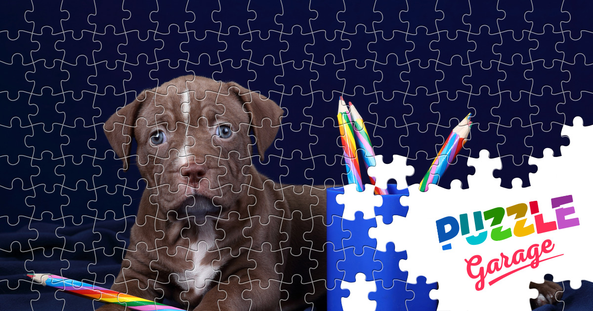 Puppy with colored pencils Jigsaw Puzzle (Animals, Pets) | Puzzle Garage
