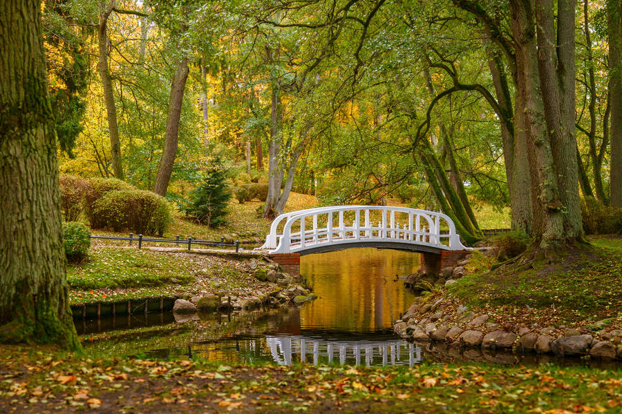 Lithuania - collection of online Jigsaw Puzzles | Puzzle Garage