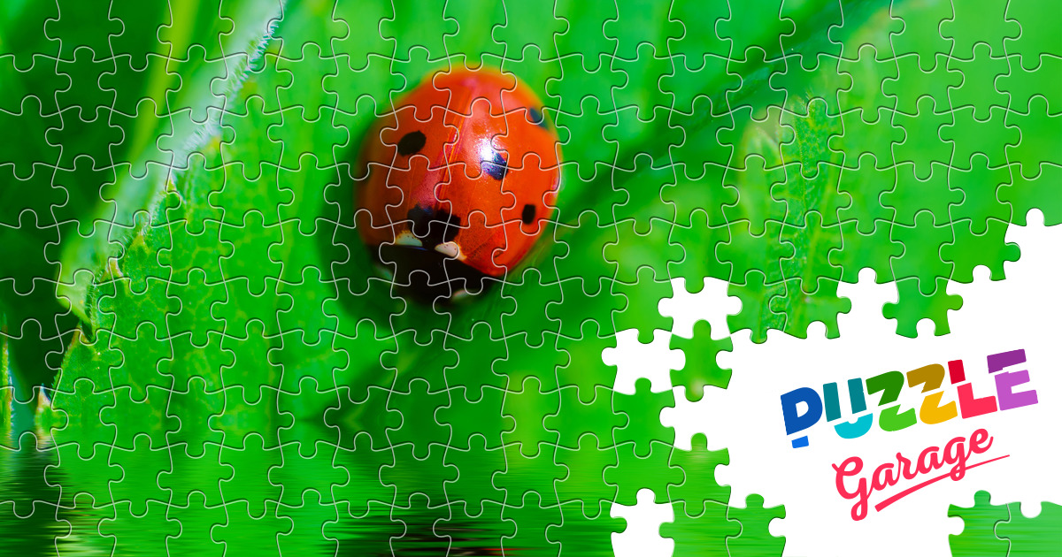 Ladybug Jigsaw Puzzle (Animals, Insects) | Puzzle Garage