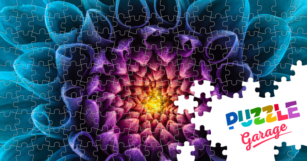 Chrysanthemum macro photo Jigsaw Puzzle (Plants, Flowers) | Puzzle Garage