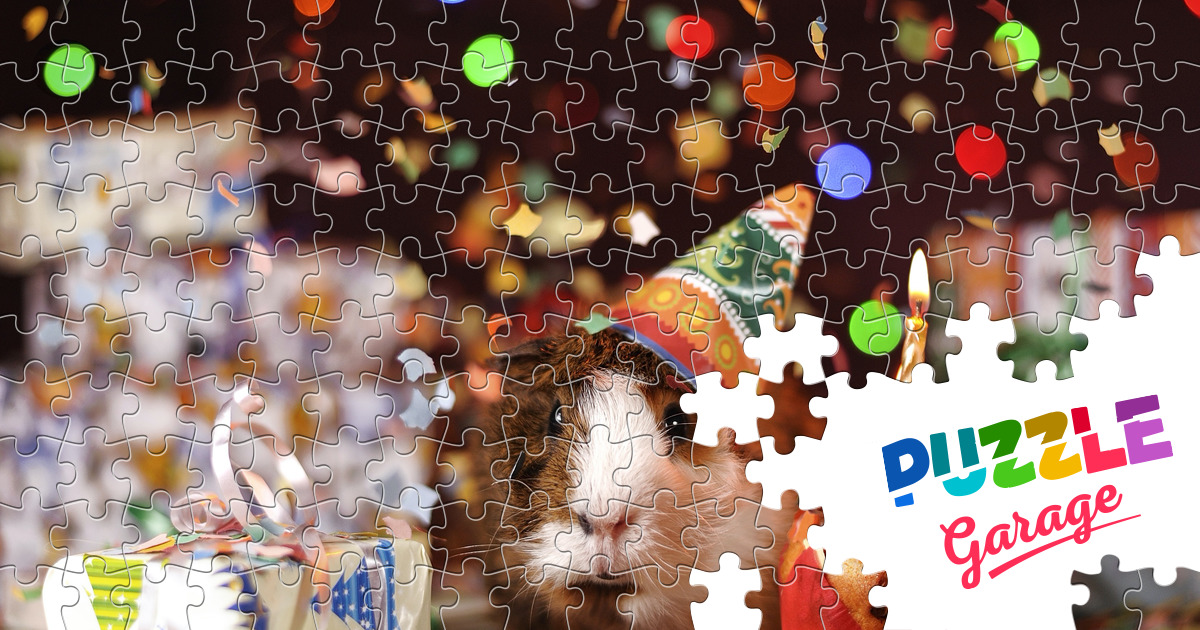 Congratulation from a guinea pig Jigsaw Puzzle (Holidays, Birthday ...