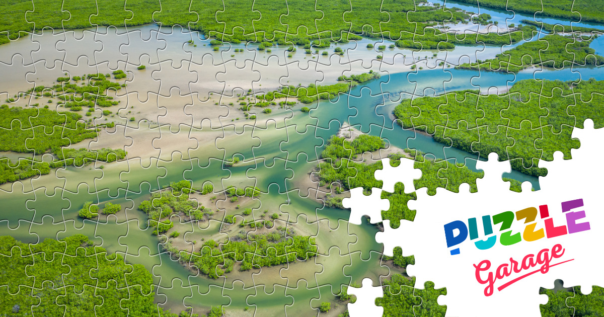 Mangrove forests Jigsaw Puzzle (Countries, Senegal) | Puzzle Garage