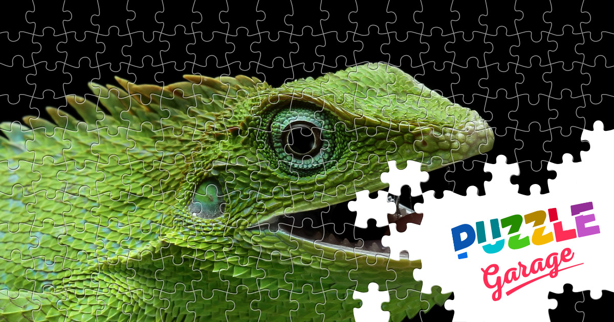 Green lizard Jigsaw Puzzle (Animals, Reptiles) | Puzzle Garage
