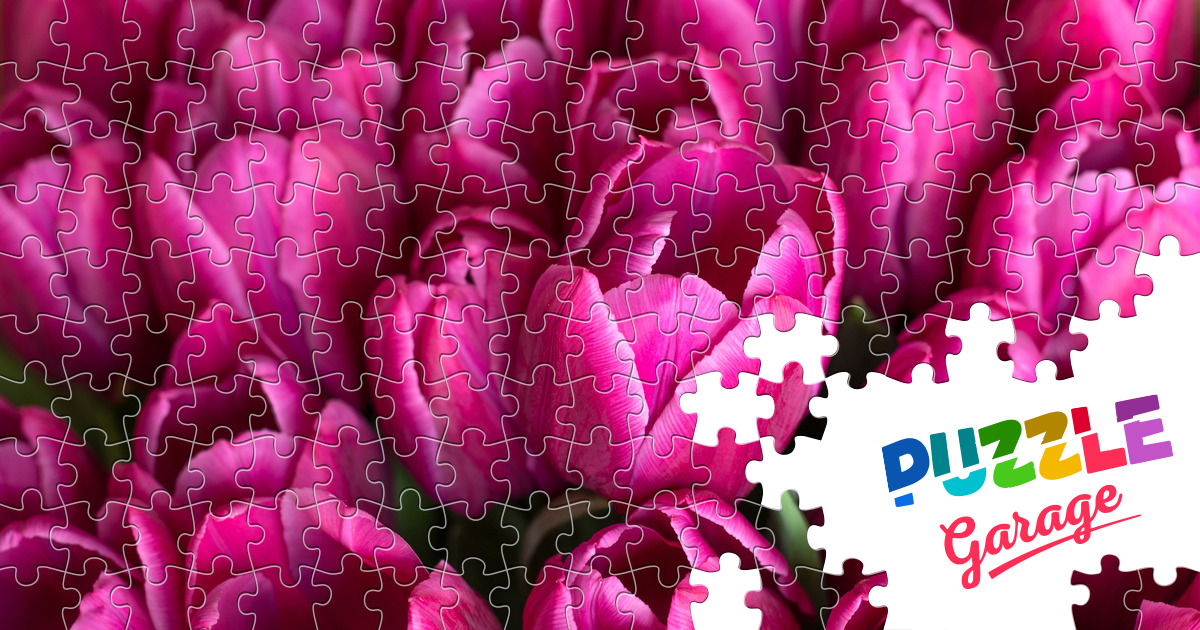 Pink tulips Jigsaw Puzzle (Plants, Flowers) | Puzzle Garage