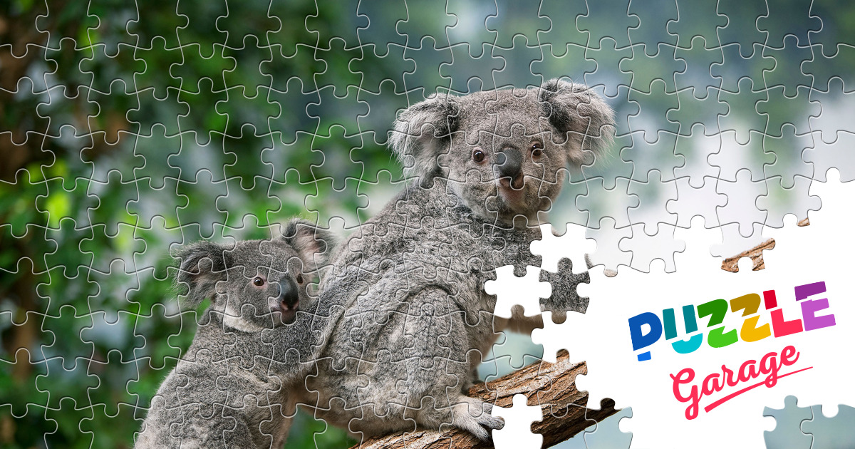 Koala with baby Jigsaw Puzzle (Animals, Mammals) | Puzzle Garage