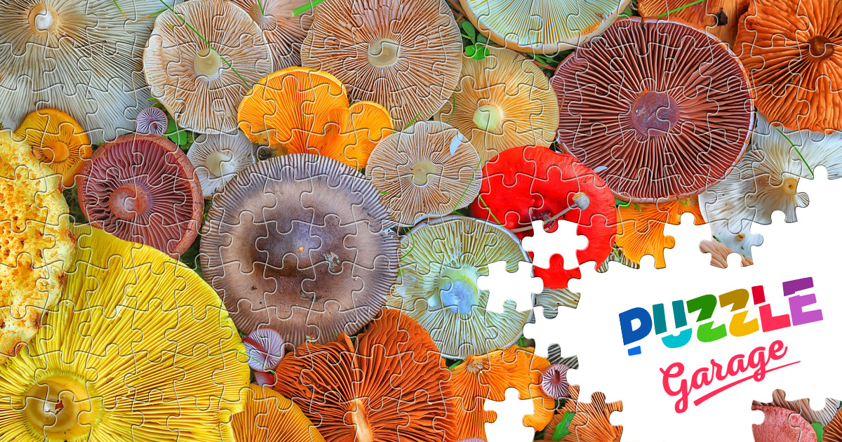Ciuperci colorate Puzzle-uri (Acasă, Alimente) | Puzzle Garage