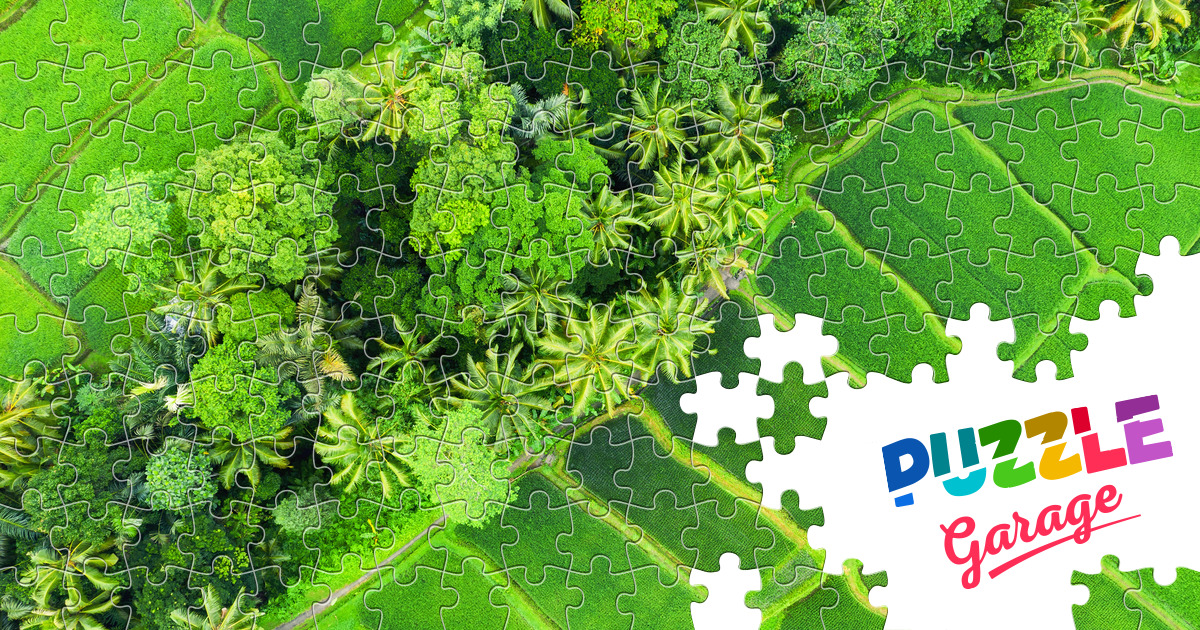 Top view of rice terraces Jigsaw Puzzle (Countries, Indonesia) | Puzzle ...