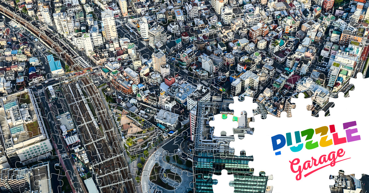 Bird's eye view of Tokyo Jigsaw Puzzle (Countries, Japan) | Puzzle Garage