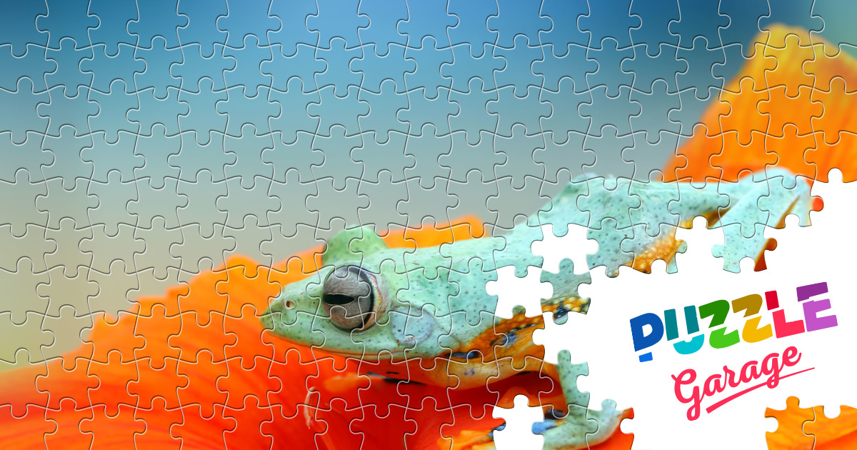Frog on a flower Jigsaw Puzzle (Animals, Amphibians) | Puzzle Garage